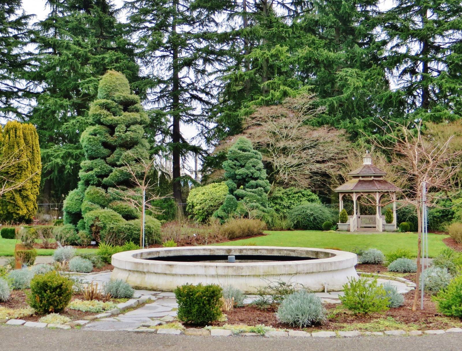 20 Beautiful Winter Garden Ideas You Must Look | SharonSable