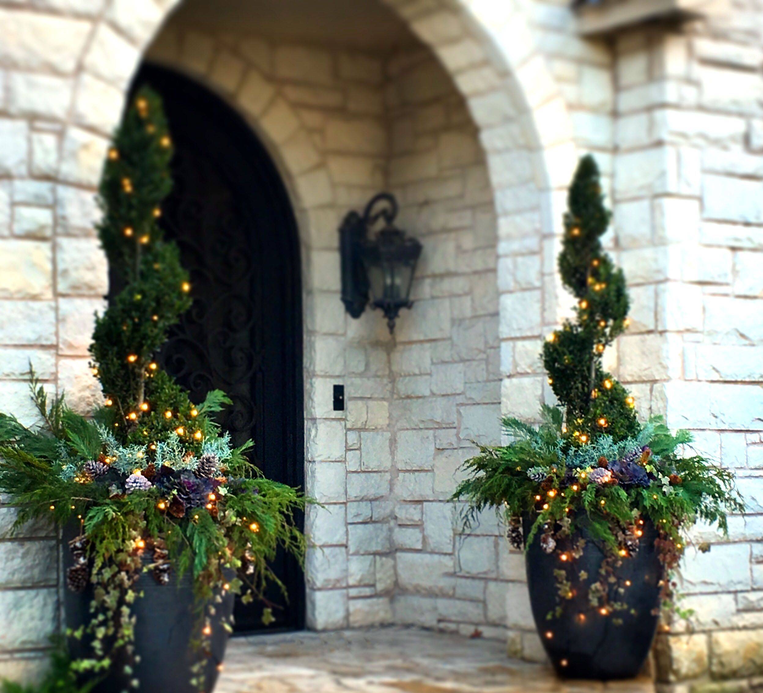 20 Beautiful Winter Garden Ideas You Must Look | SharonSable