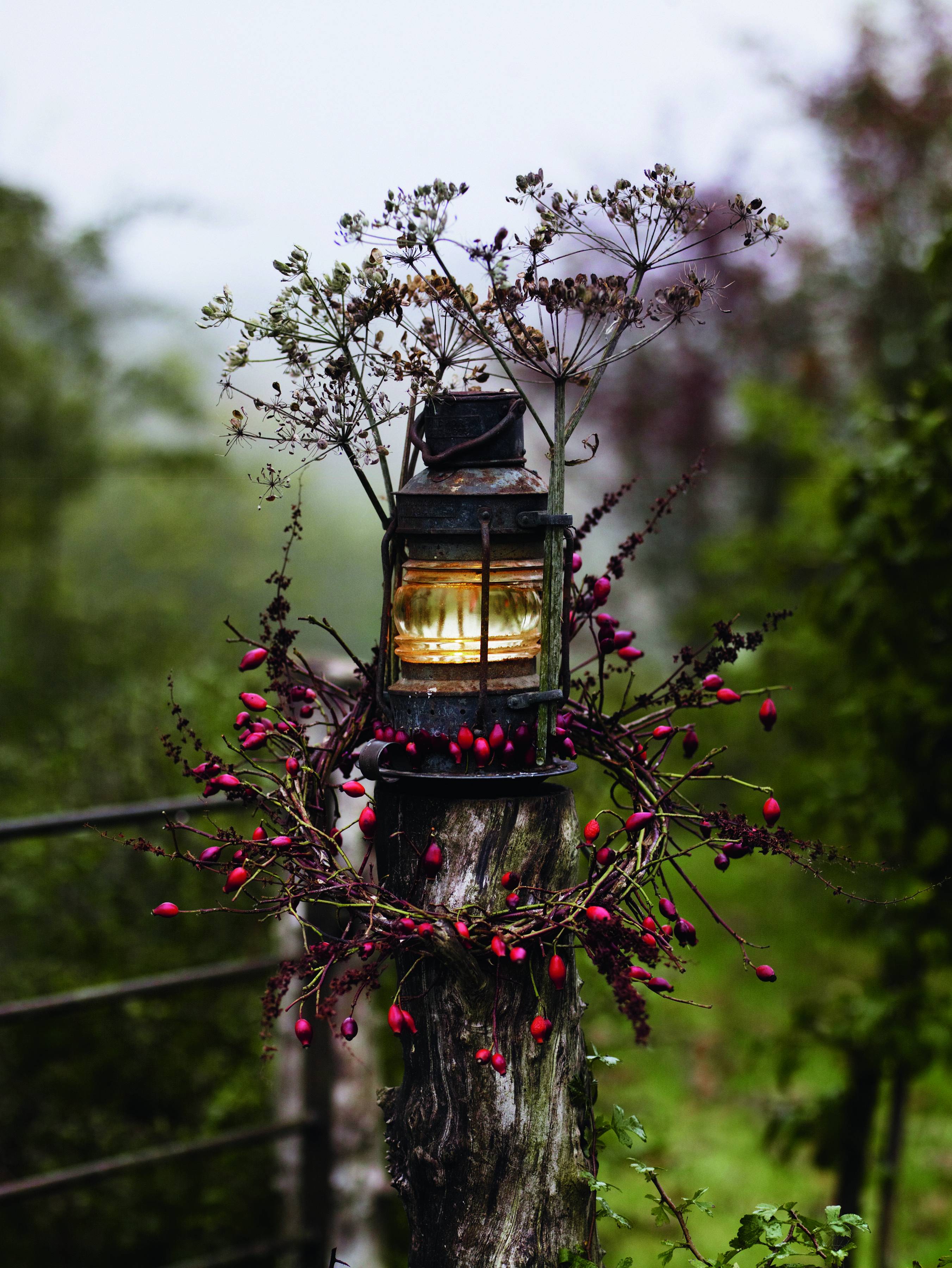 22 Wintergarden Decor Ideas For This Year | SharonSable