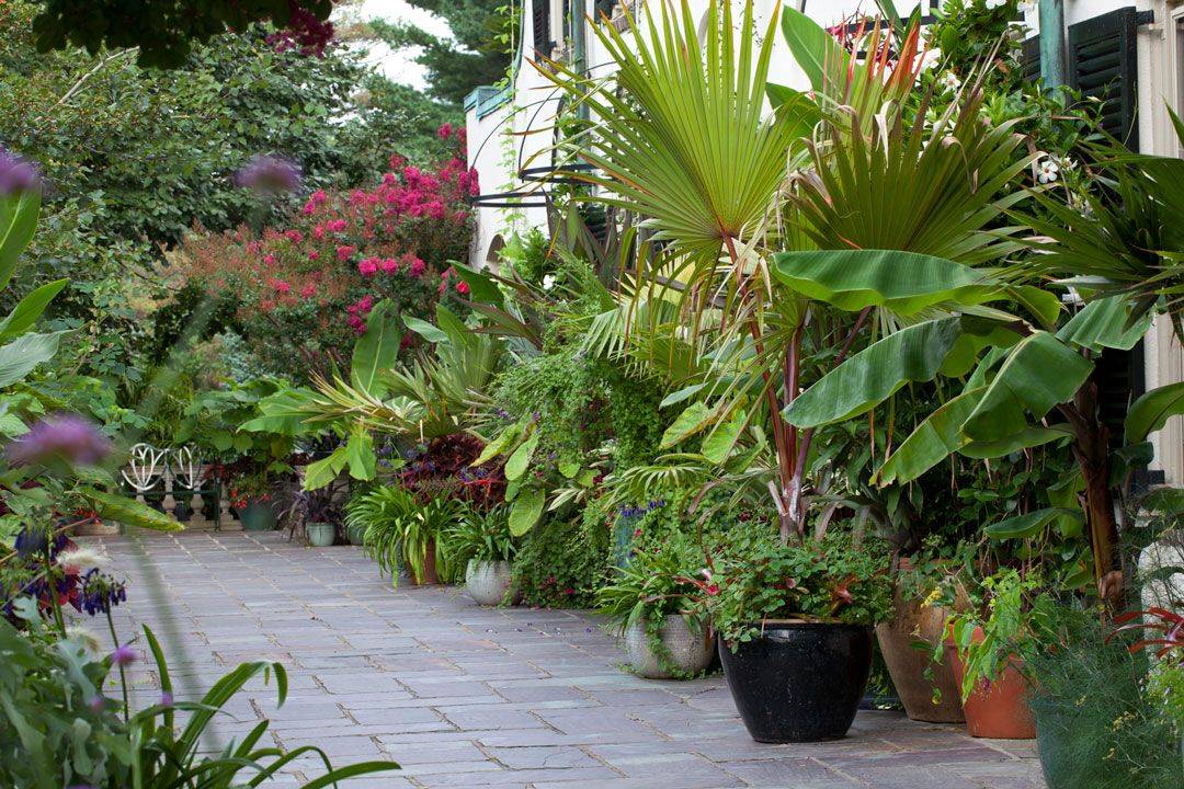 24 Exotic Tropical Garden Ideas You Must Look | SharonSable