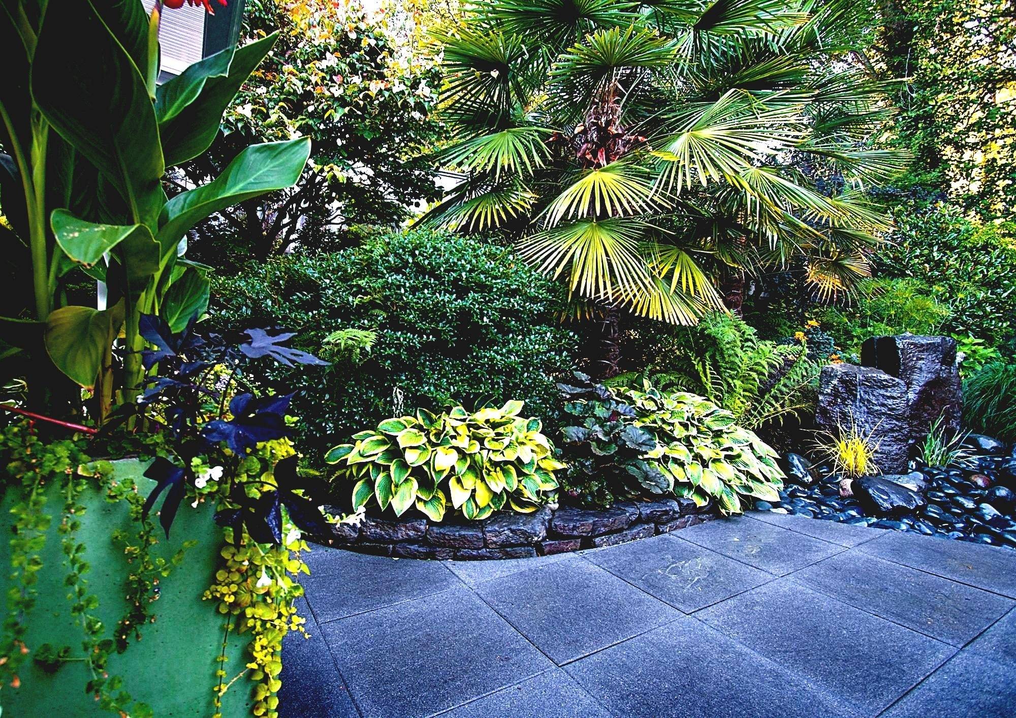 24 Exotic Tropical Garden Ideas You Must Look | SharonSable