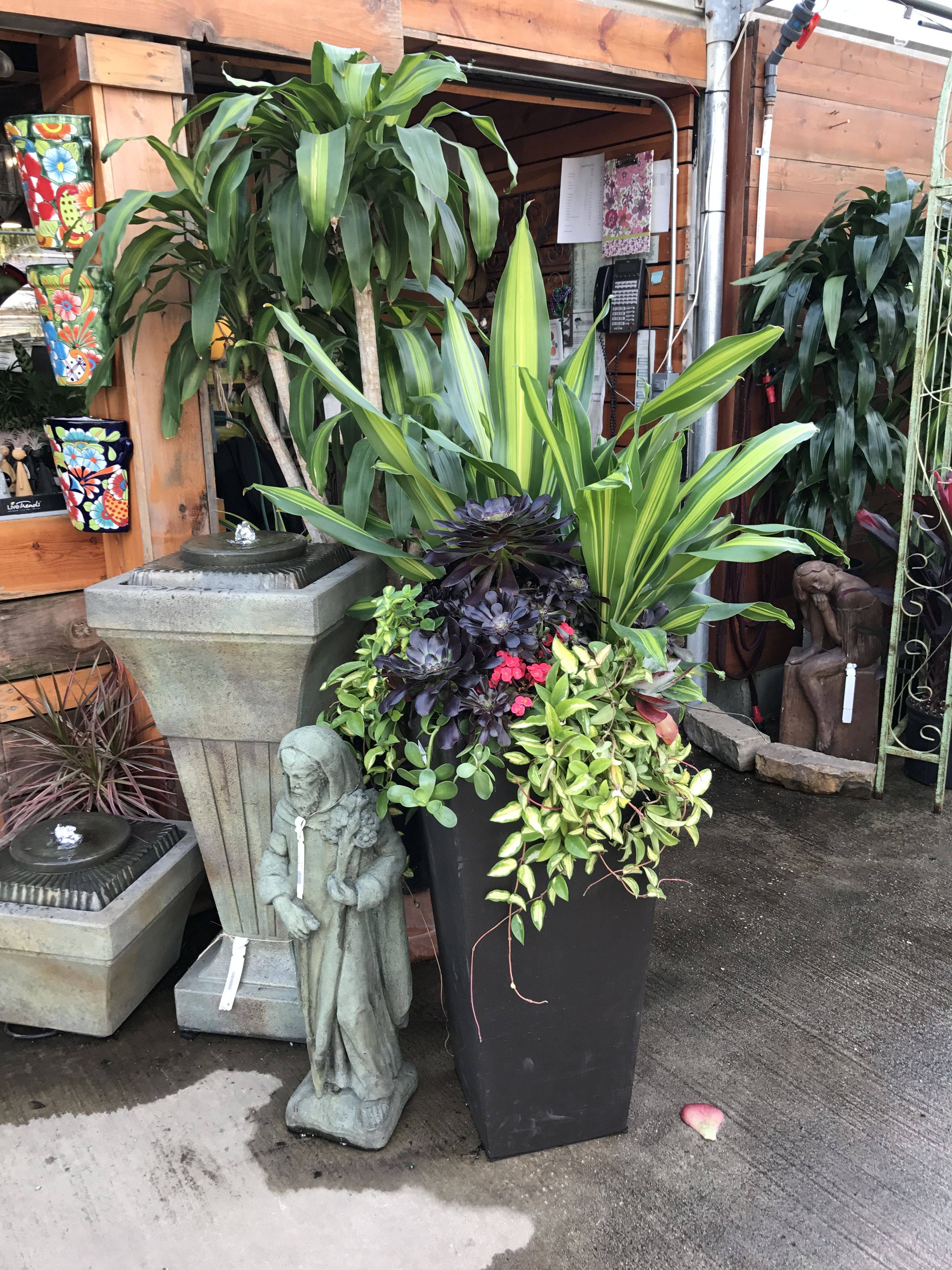 23 Tropical Garden Container Ideas You Must Look | SharonSable