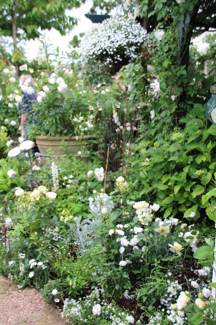 16 All White Garden Ideas You Gonna Love | SharonSable
