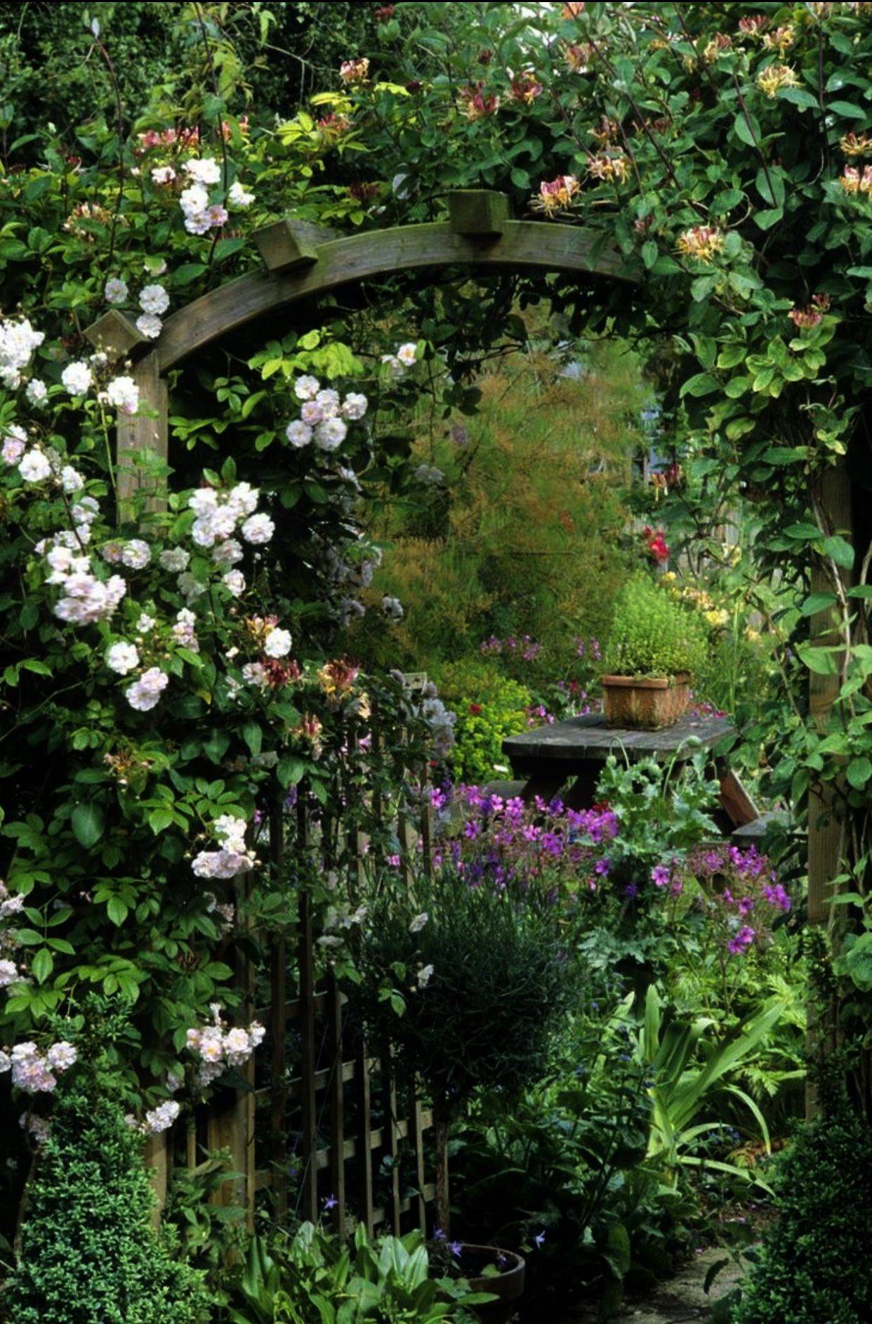 21 English Garden Edging Ideas To Consider | SharonSable