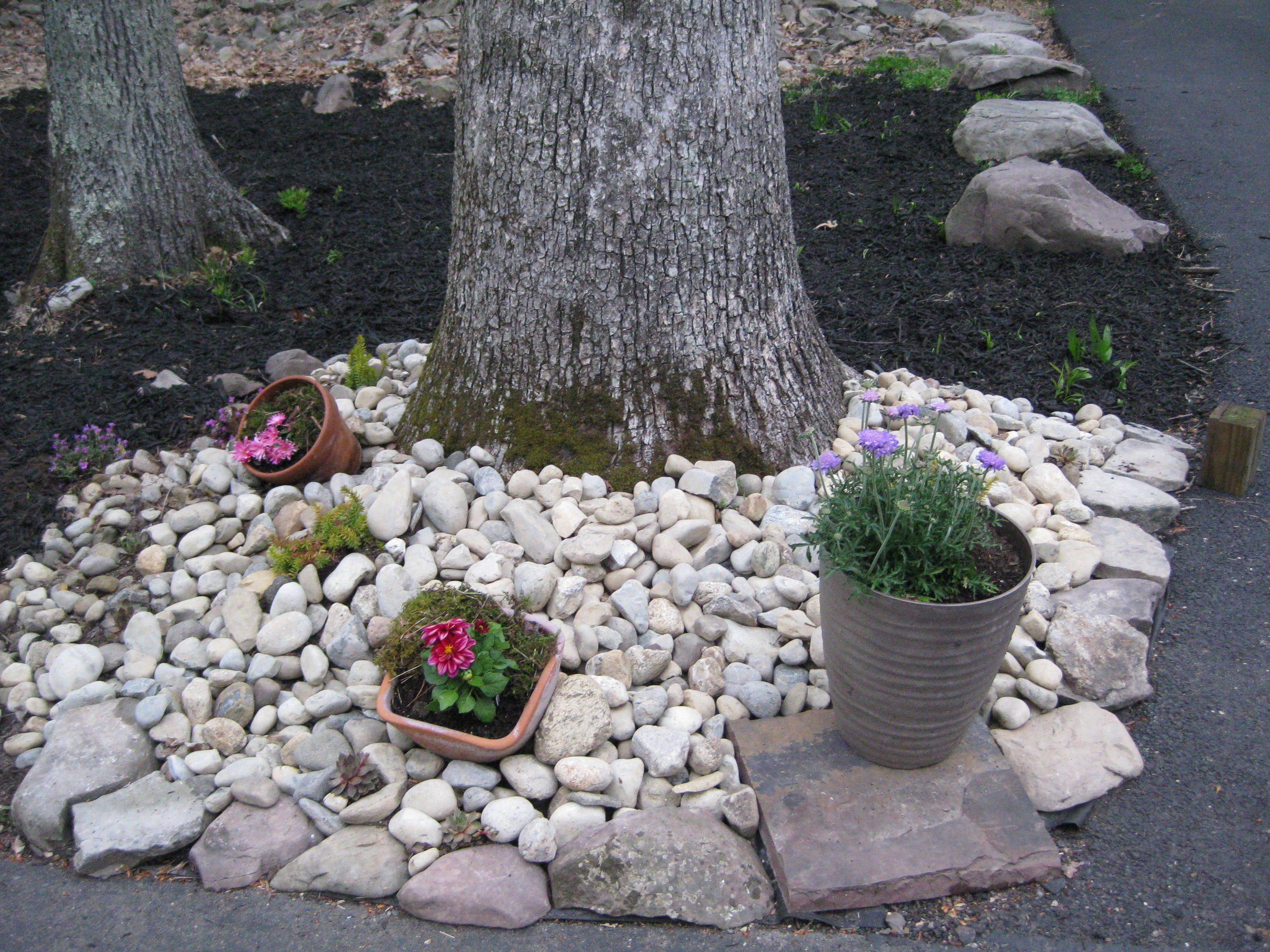 23 Small Easy Rock Garden Ideas You Should Look | SharonSable