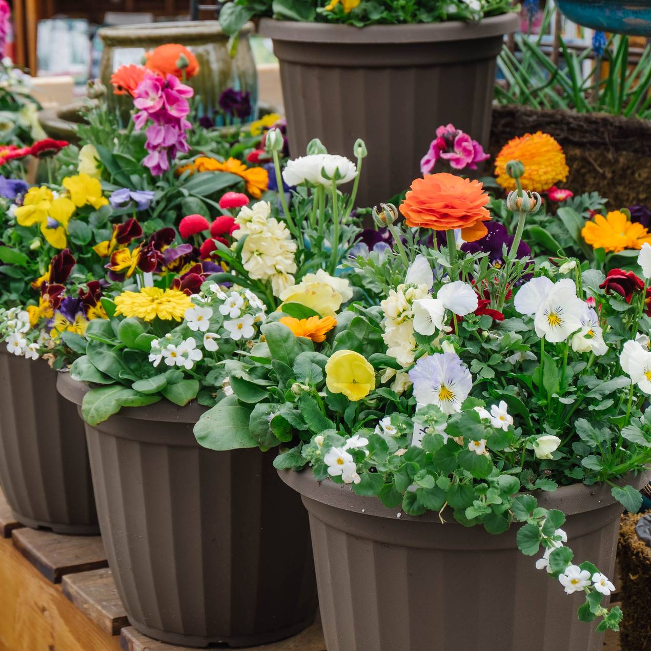 25 Calming Garden Ideas To Try This Year | SharonSable