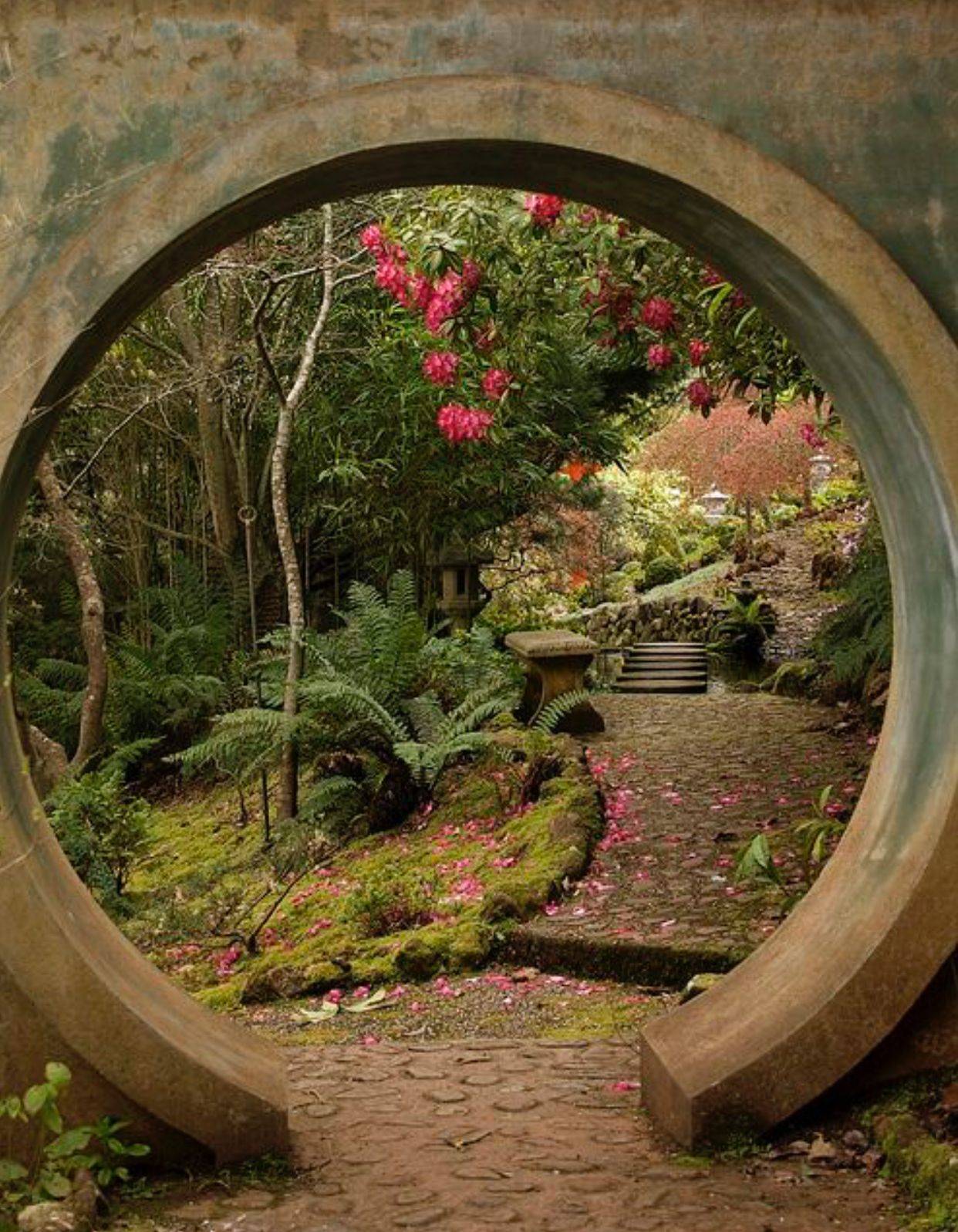 14 Secret Garden Wall Ideas You Must Look | SharonSable