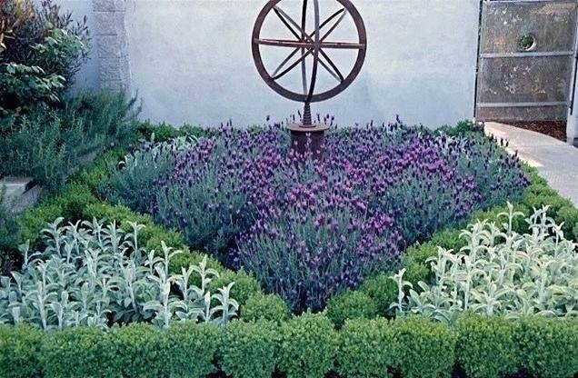 24 Lavender and Boxwood Garden Ideas To Try This Year | SharonSable