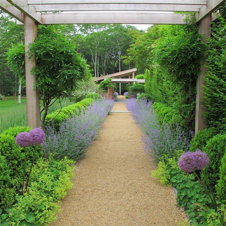 24 Lavender and Boxwood Garden Ideas To Try This Year | SharonSable