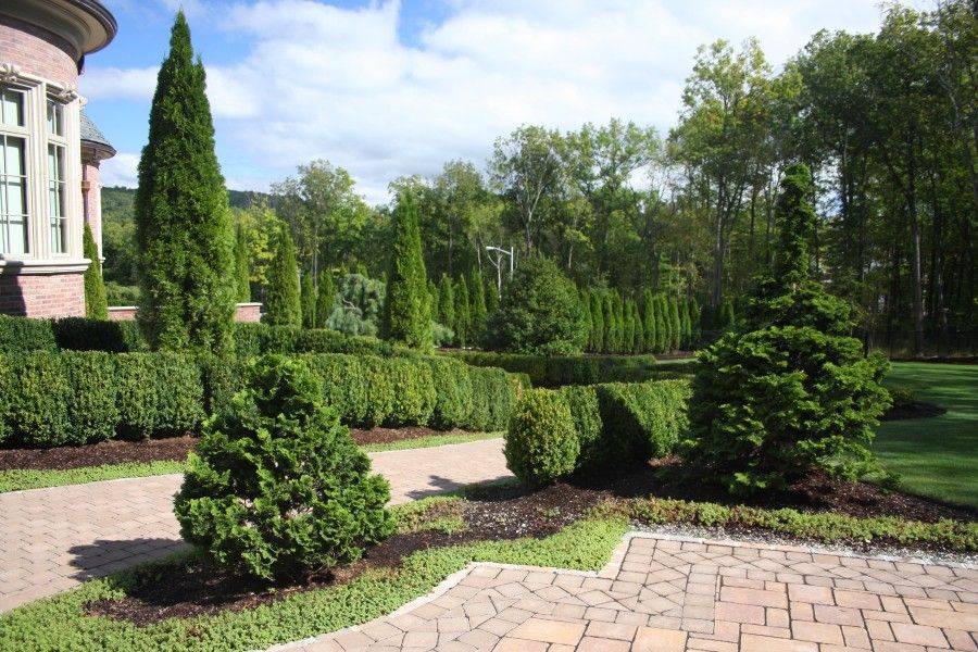 19 Formal Garden Design Cypress Boxwood Ideas You Cannot Miss | SharonSable