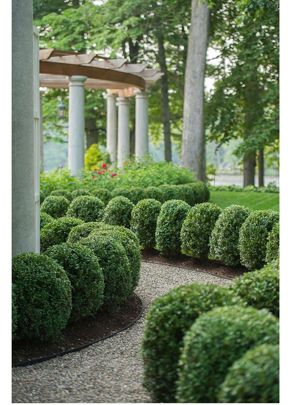 22 Boxwood Hedge Topiary Garden Ideas You Gonna Love | SharonSable