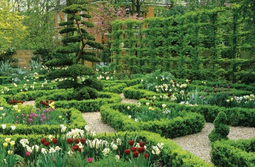 20 Fancy Hedges Garden Ideas To Try This Year | SharonSable