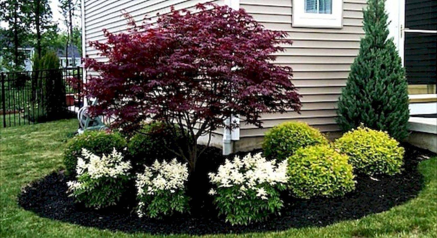 20 Fancy Hedges Garden Ideas To Try This Year | SharonSable