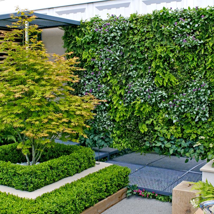20 Fancy Hedges Garden Ideas To Try This Year | SharonSable