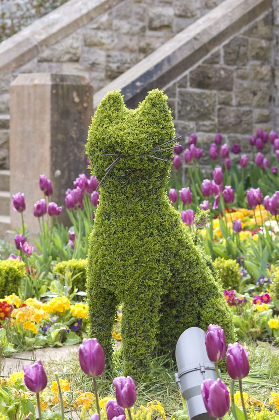 20 Fancy Hedges Garden Ideas To Try This Year | SharonSable