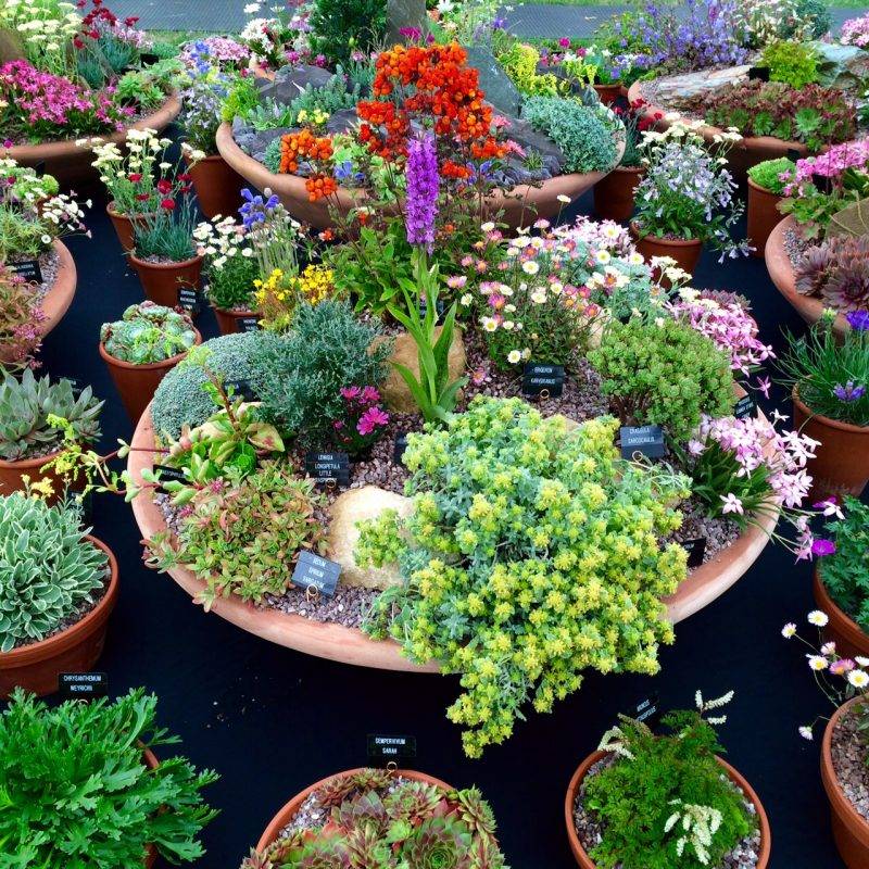 23 Large Garden Containers Ideas To Try This Year | SharonSable