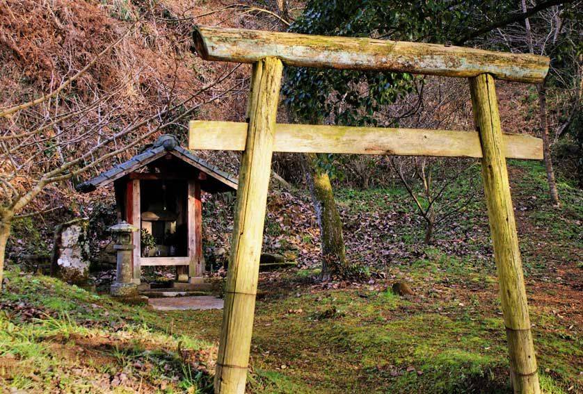 16 Shinto Japanese Garden Path Ideas You Must Look | SharonSable