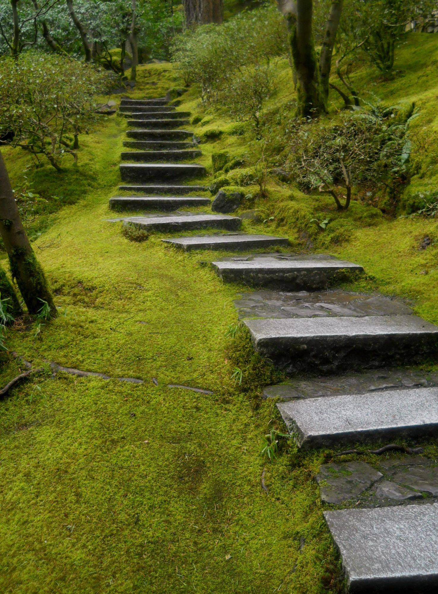 20 Portland Japanese Garden Paths Ideas Worth to Check | SharonSable