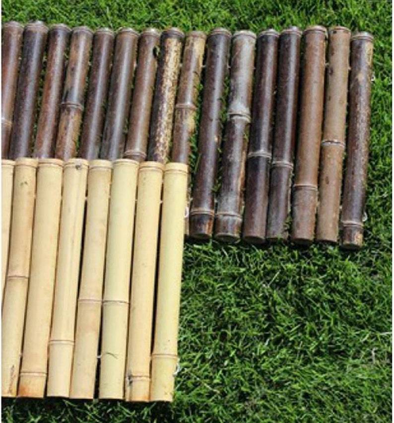 24 Bamboo Garden Edging Border Ideas To Consider | SharonSable