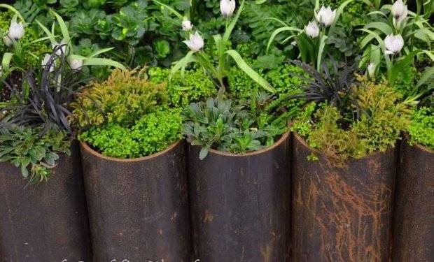 15 PVC Pipe Garden Edging Ideas You Cannot Miss | SharonSable