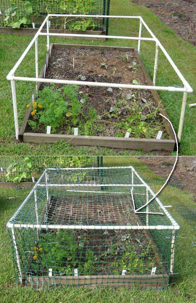15 PVC Pipe Garden Edging Ideas You Cannot Miss | SharonSable
