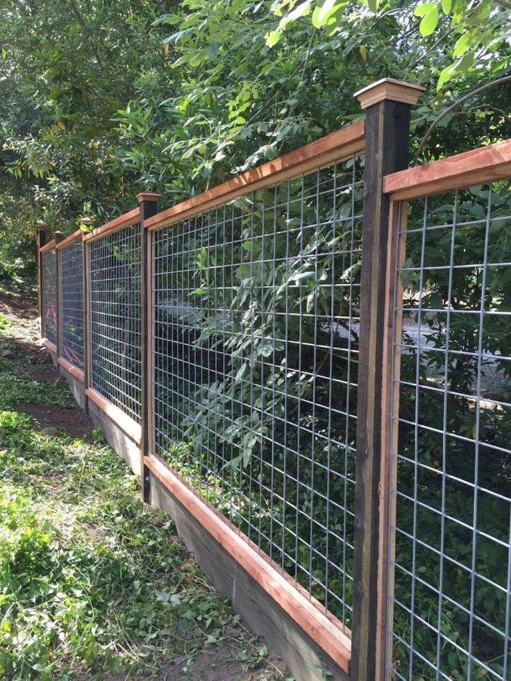 22 Easy Garden Fence Ideas For This Year | SharonSable