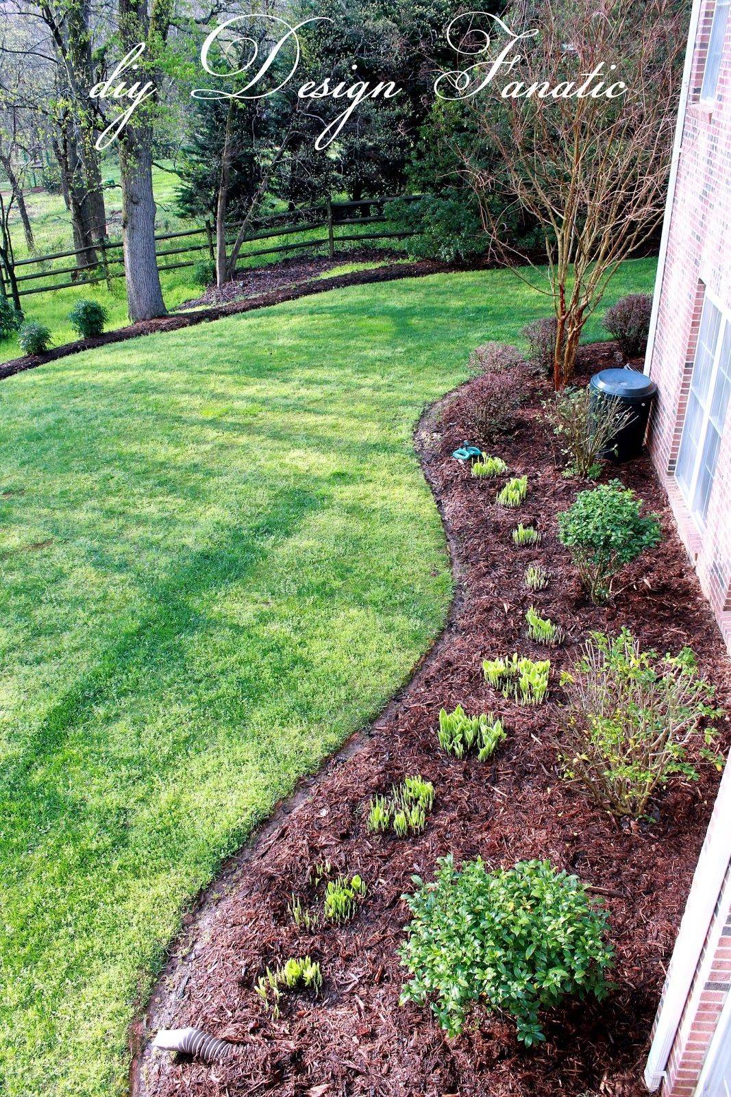 23 Natural Garden Edging Ideas Worth a Look | SharonSable