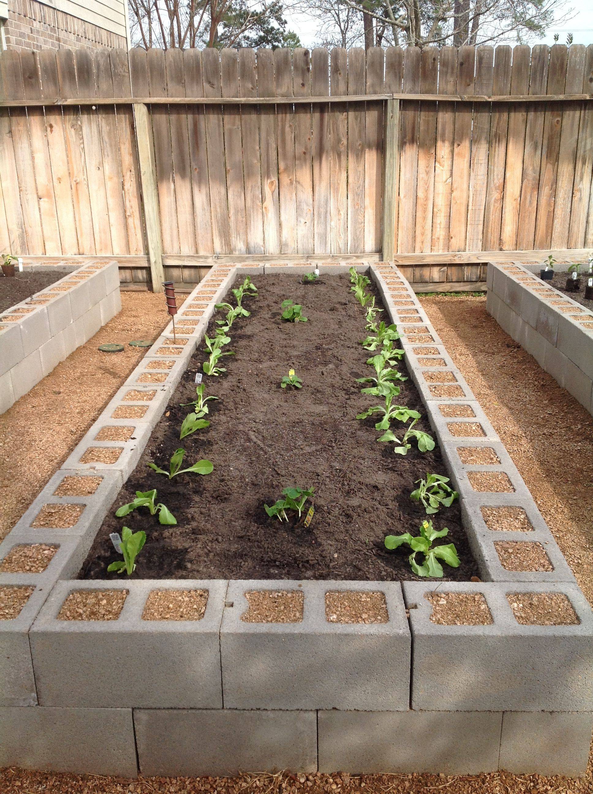 20 Cinder Block Herb Garden Ideas You Should Check | SharonSable