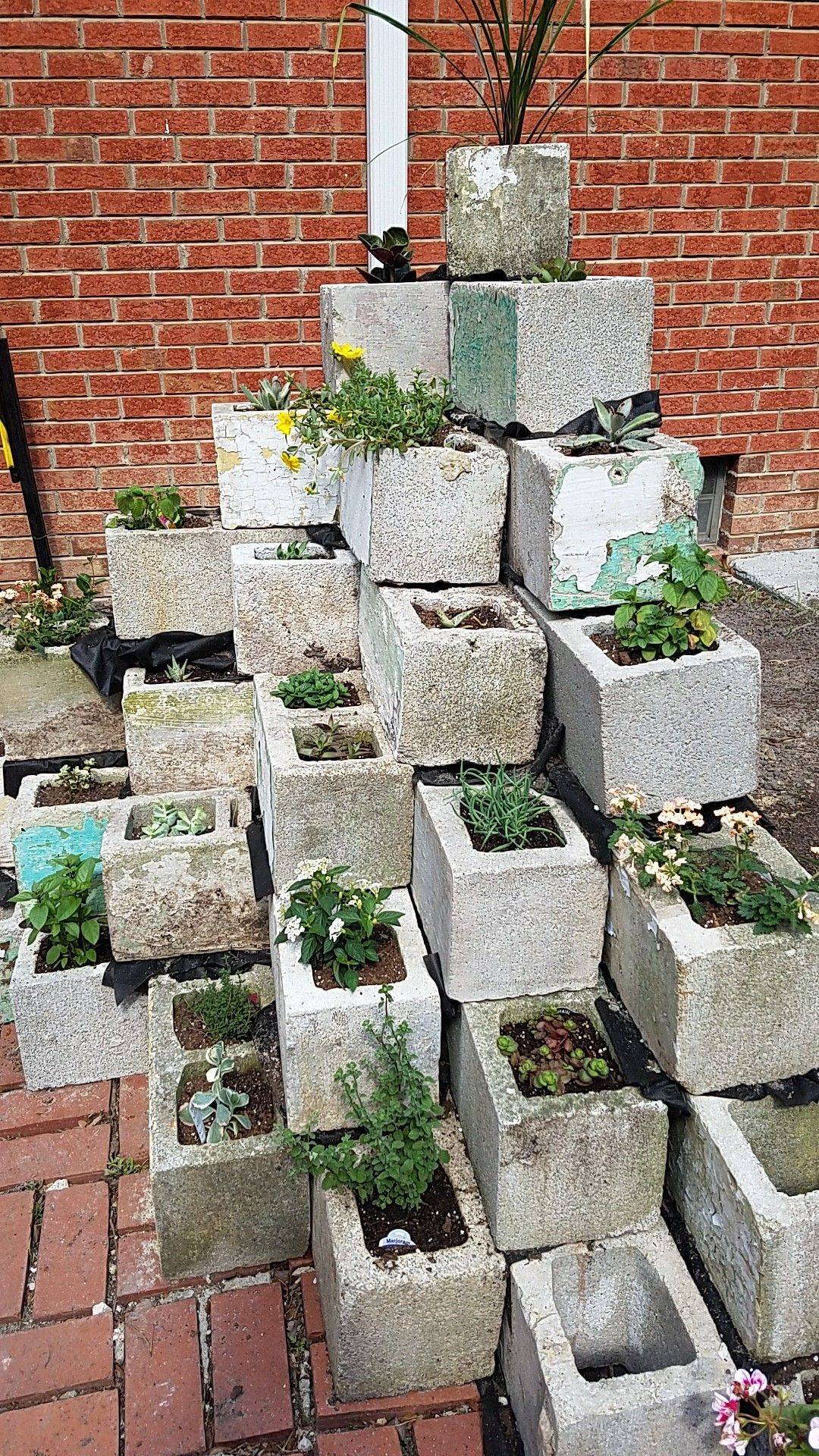 20 Cinder Block Herb Garden Ideas You Should Check | SharonSable