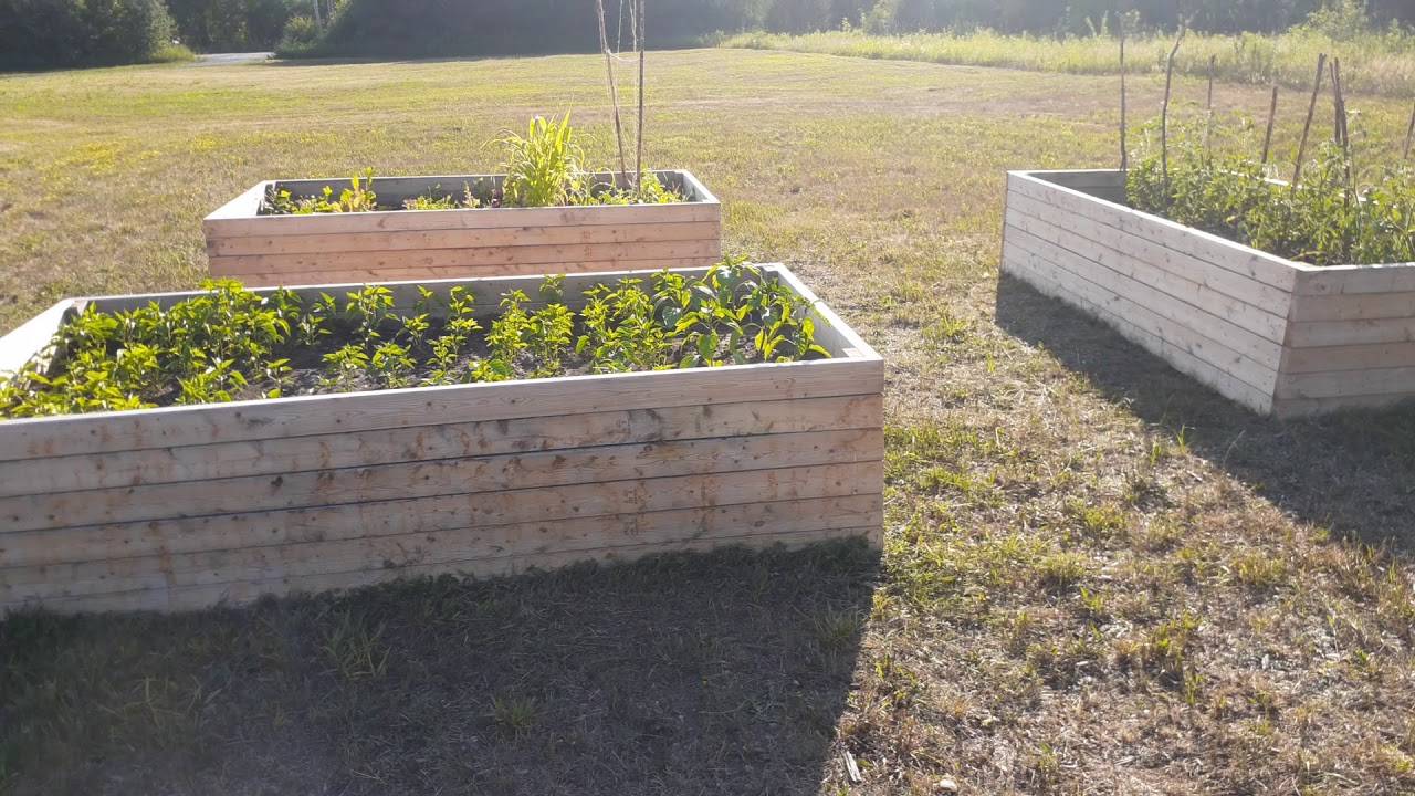 26 YouTube Raised Garden Beds Ideas Worth to Check | SharonSable