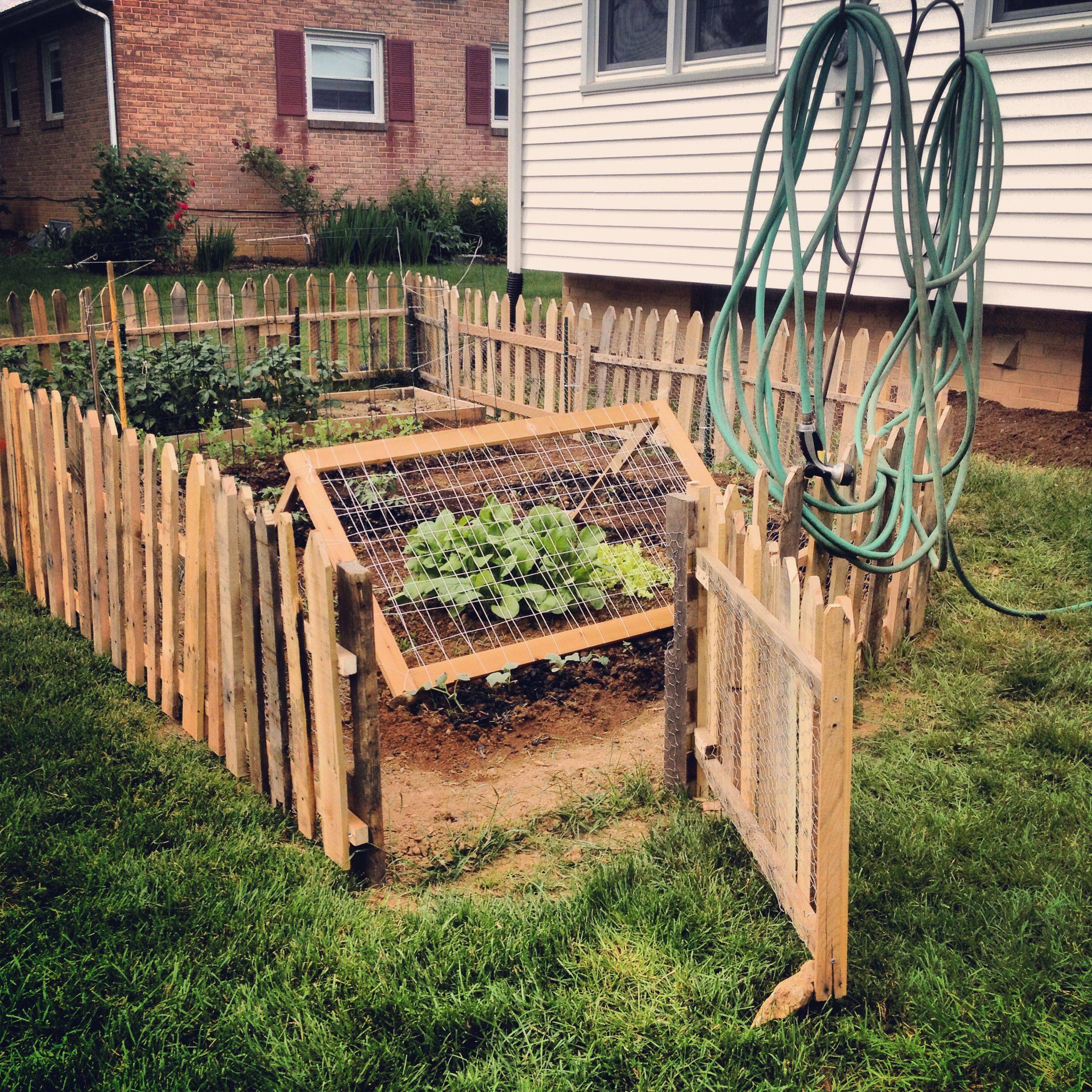 24 DIY Garden Pallet Fence Project Ideas Worth a Look | SharonSable
