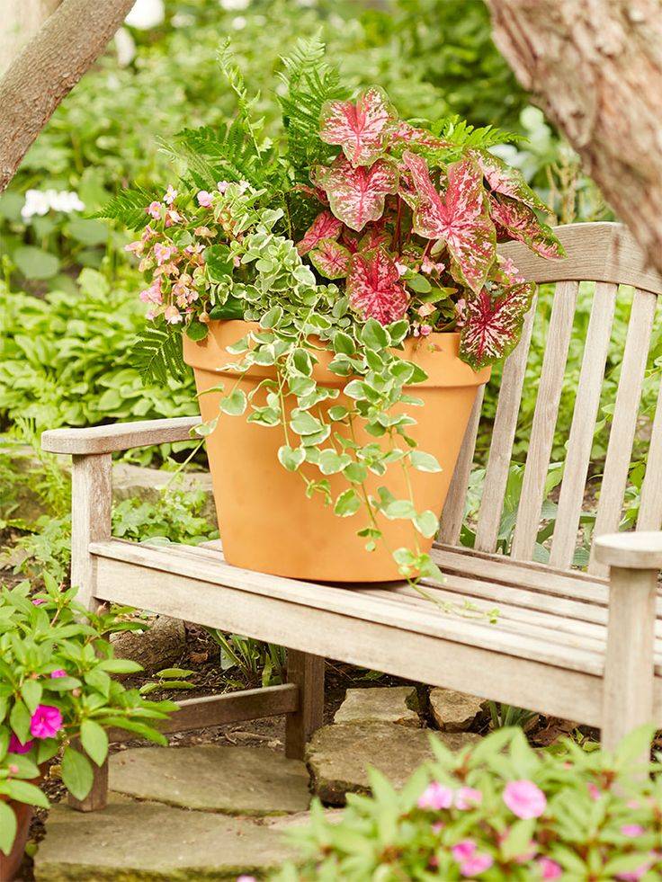 22 Container Garden DIY Projects Ideas To Consider | SharonSable