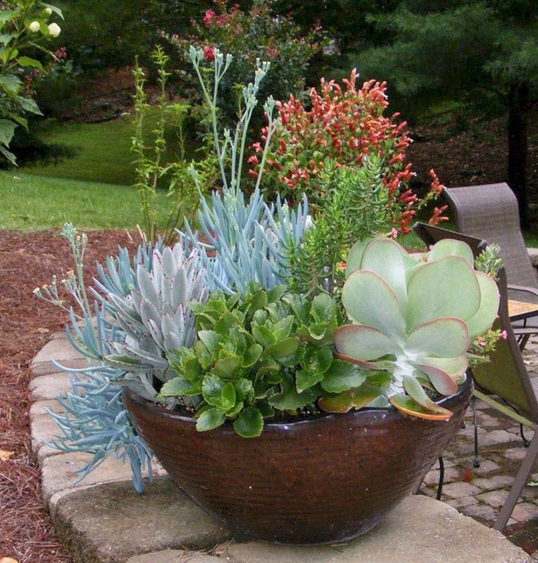 18 Easy Succulent Container Garden Ideas You Must Look | SharonSable