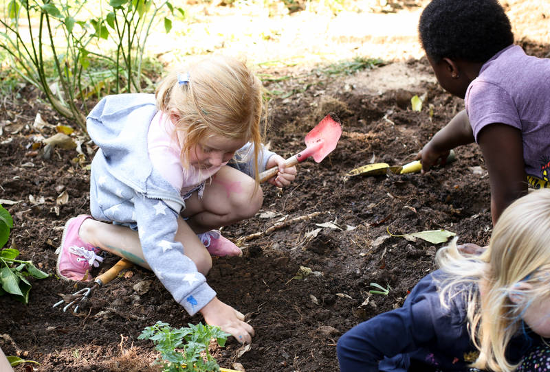 21 Kids Garden Club Ideas You Must Look | SharonSable