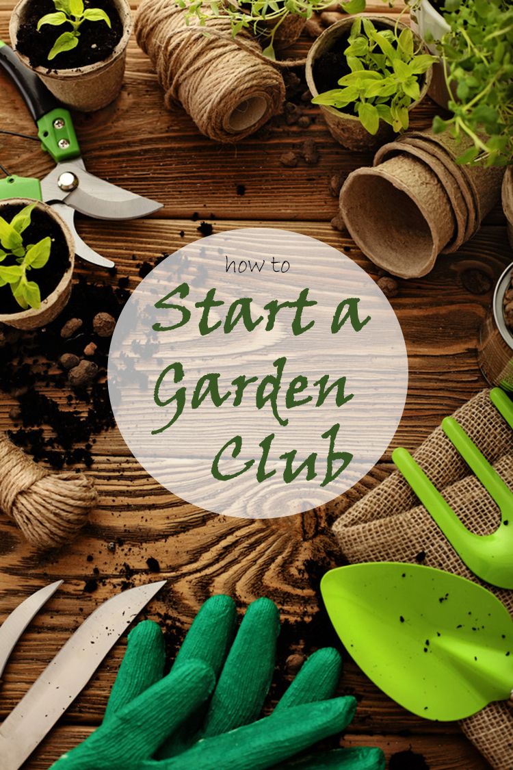 21 Kids Garden Club Ideas You Must Look | SharonSable