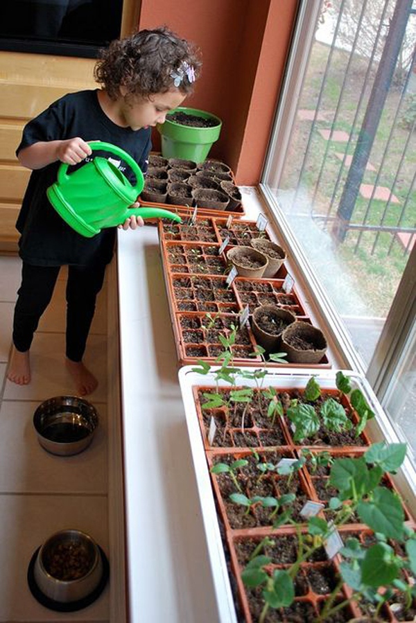 18 Teaching Gardening Ideas To Consider | SharonSable 18 Teaching Gardening Ideas To Consider | SharonSable