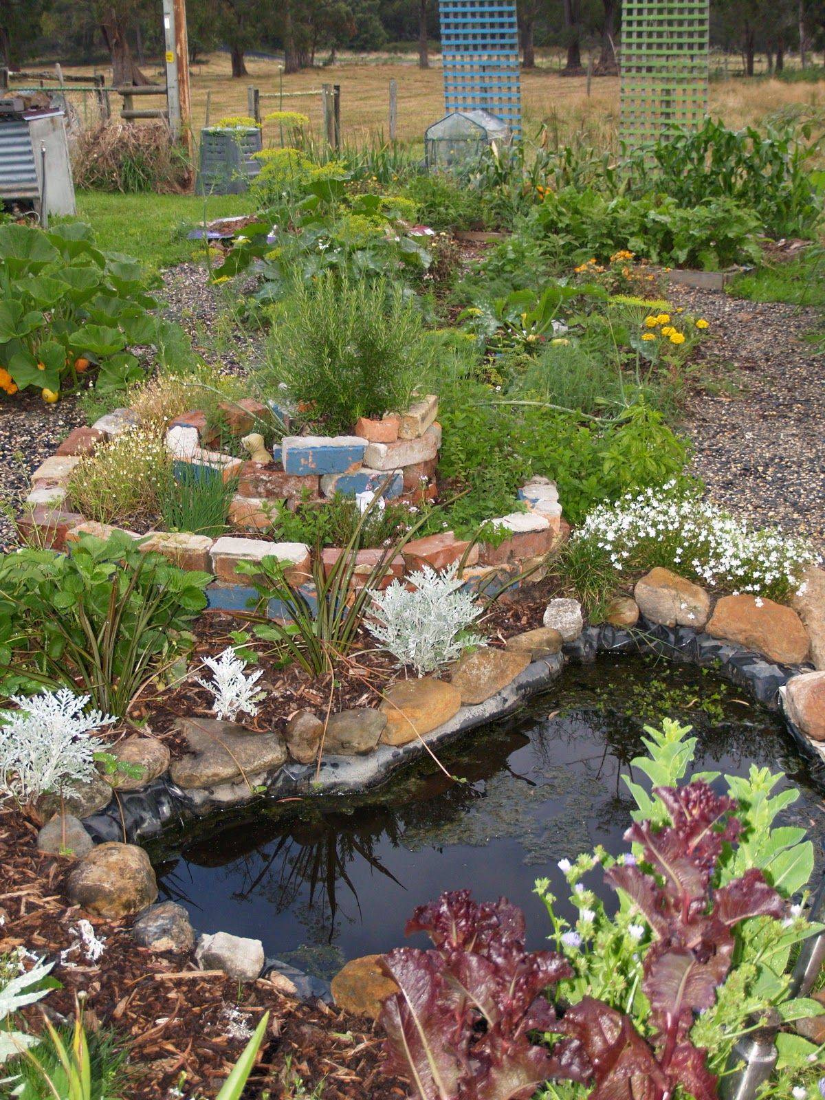 23 Spiral Herb Garden with Water Ideas To Try This Year | SharonSable