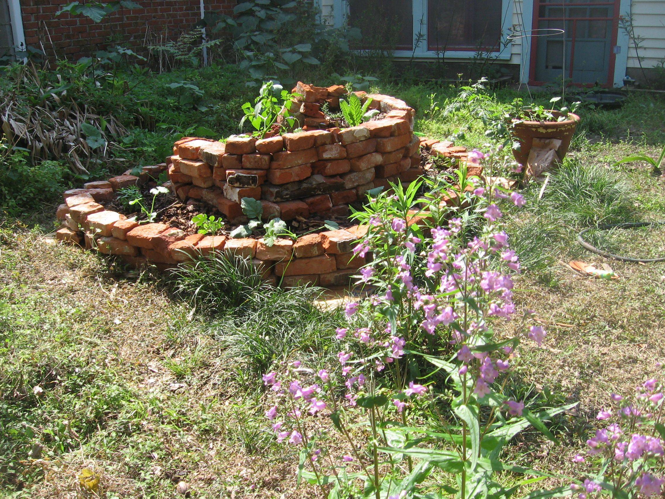 22 Wire Spiral Herb Garden Ideas For This Year | SharonSable