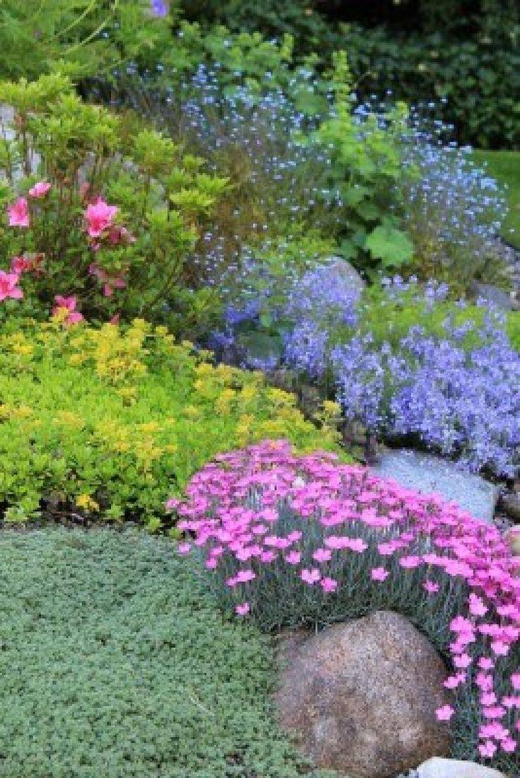 22 Rock Garden Perennials Flowers Ideas You Should Check | SharonSable