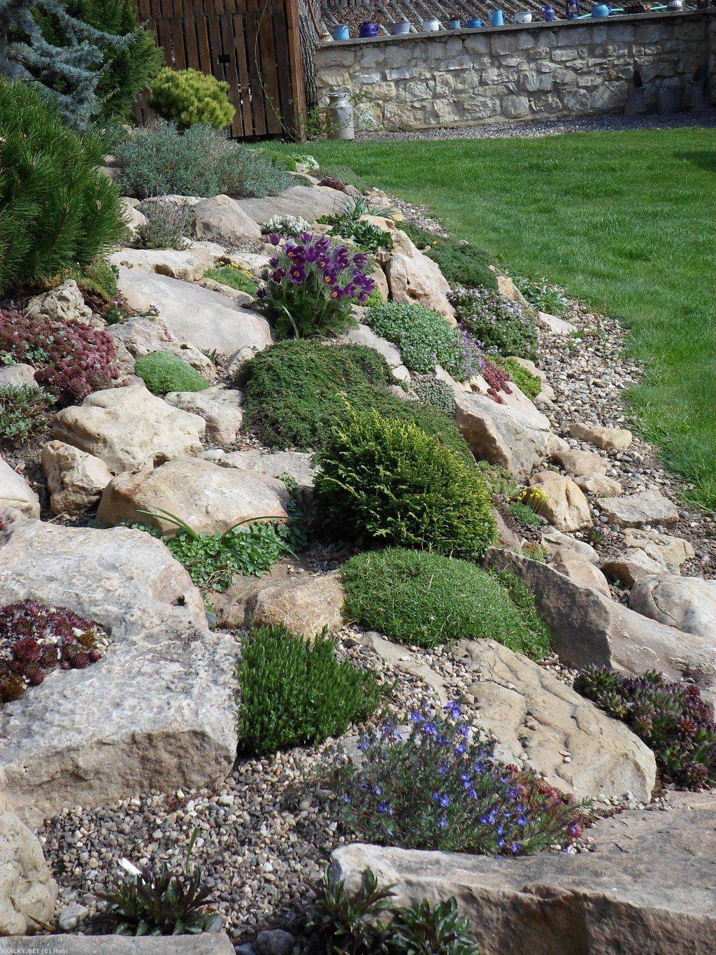 13 Rockery Garden Design Ideas For This Year | SharonSable