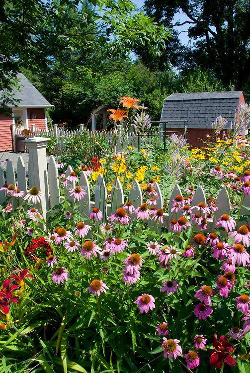 19 Sunny Garden Ideas You Should Check Sharonsable