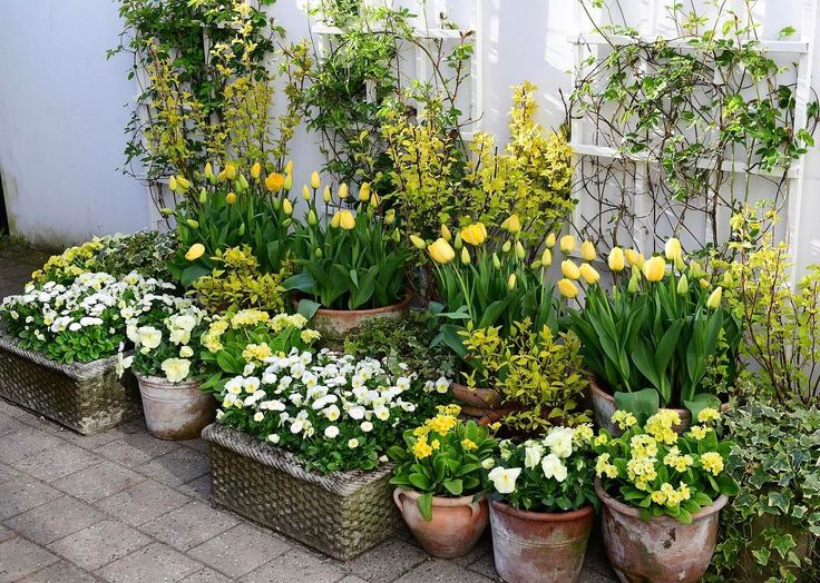 25 Sunny Corner Garden Design Ideas Worth to Check | SharonSable