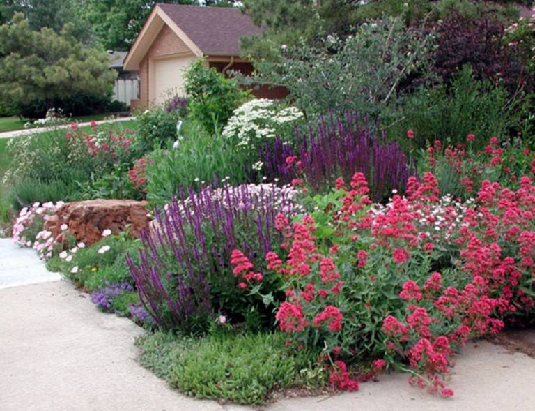 19 Xeriscape Gardening Ideas Worth a Look | SharonSable