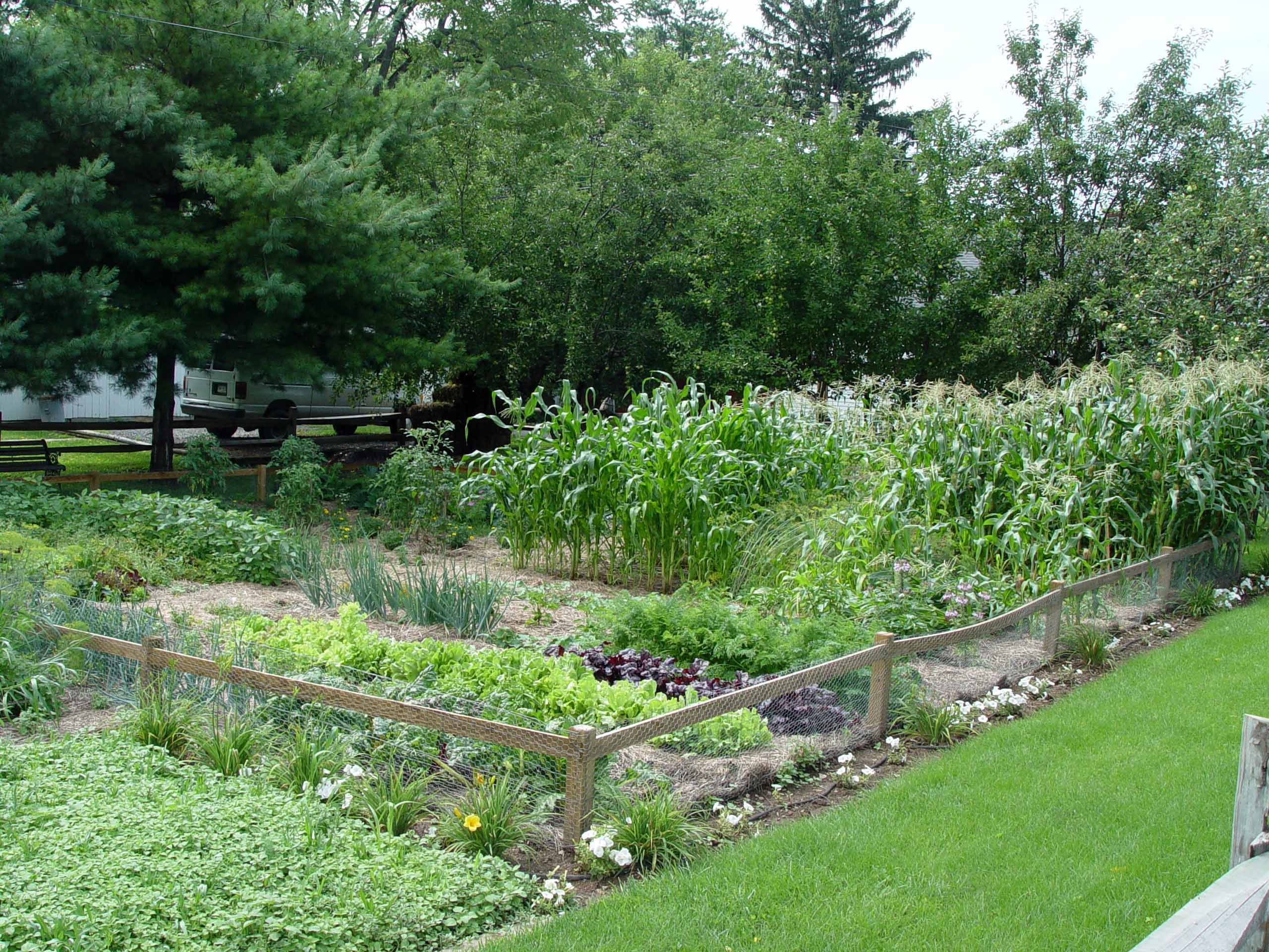21 Large Vegetable Garden Ideas To Consider | SharonSable
