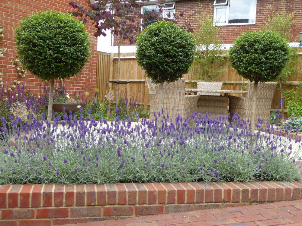 21 Diagonal Garden Ideas You Should Check | SharonSable