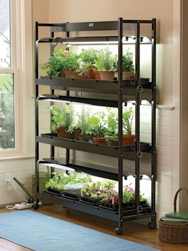 22 Indoor Vegetable Garden Light Ideas For This Year | SharonSable