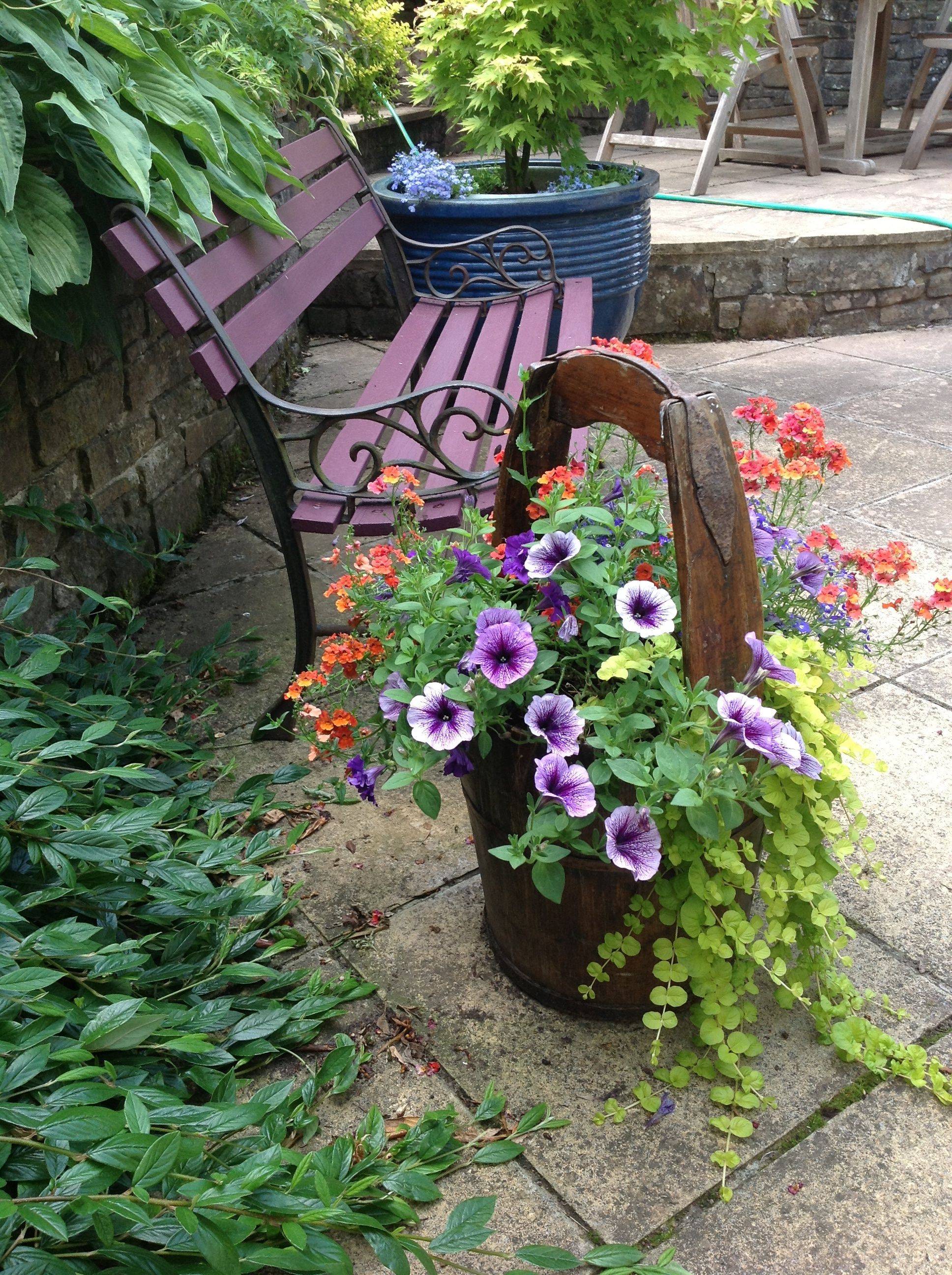 21 Bucket Garden Ideas To Try This Year | SharonSable