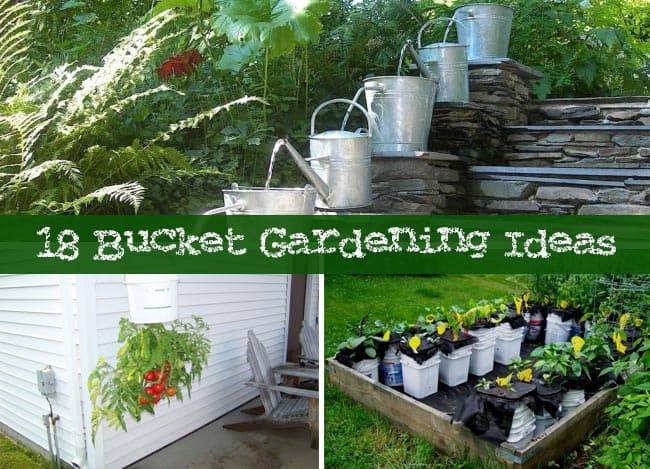 21 Bucket Garden Ideas To Try This Year | SharonSable
