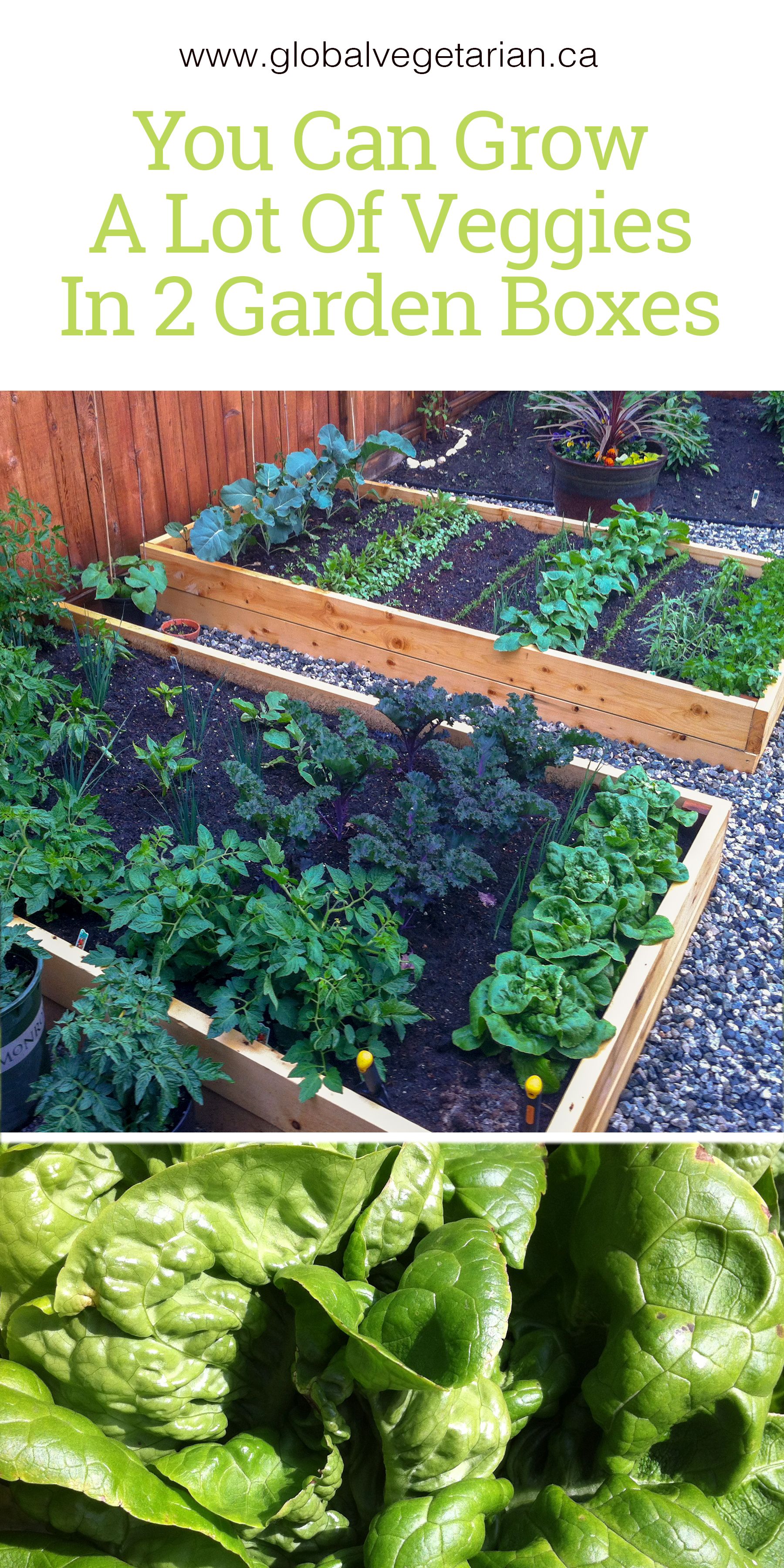 19 Growing Your Own Vegetable Garden Ideas You Cannot Miss | SharonSable