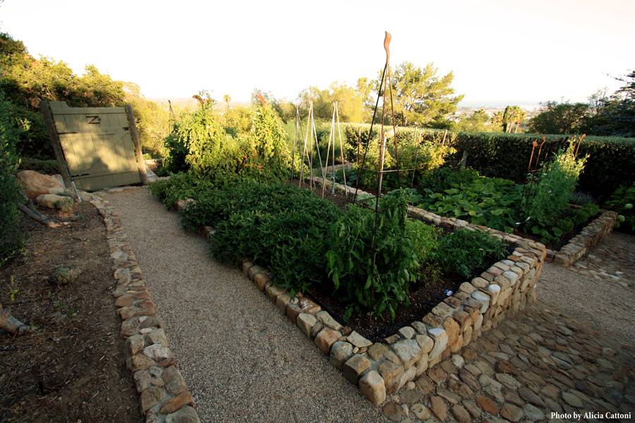 23 French Vegetable Garden Ideas You Should Look | SharonSable